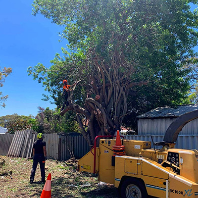 Post Name – Proarb WA