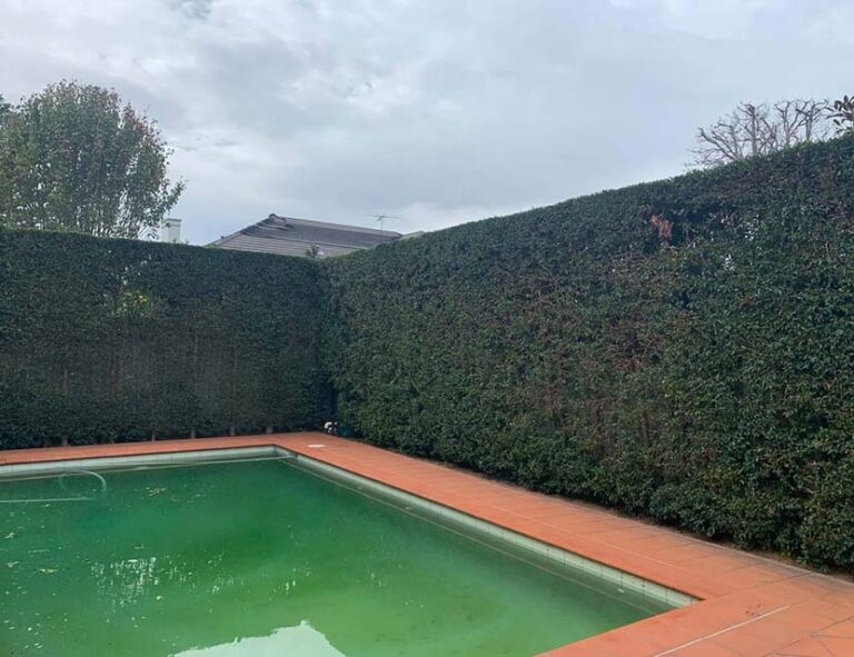 Hedging – Proarb WA